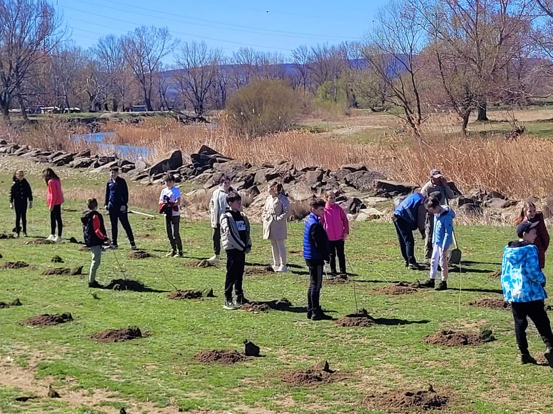 Bacău: Plantare de copaci în Pădurea Șerbănești - Jurnal FM